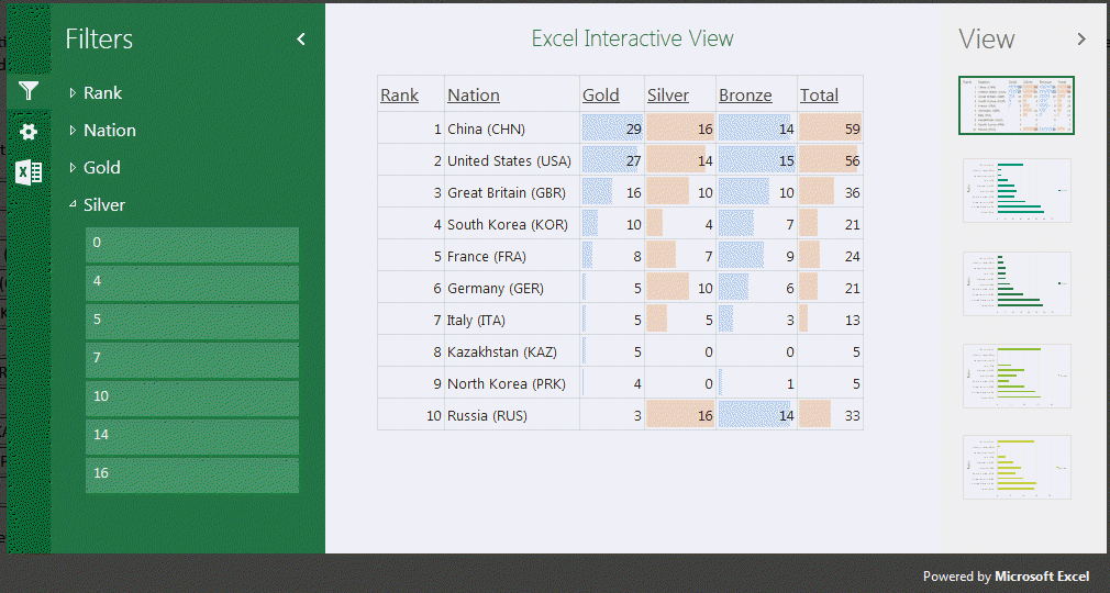 Excel Interactive View